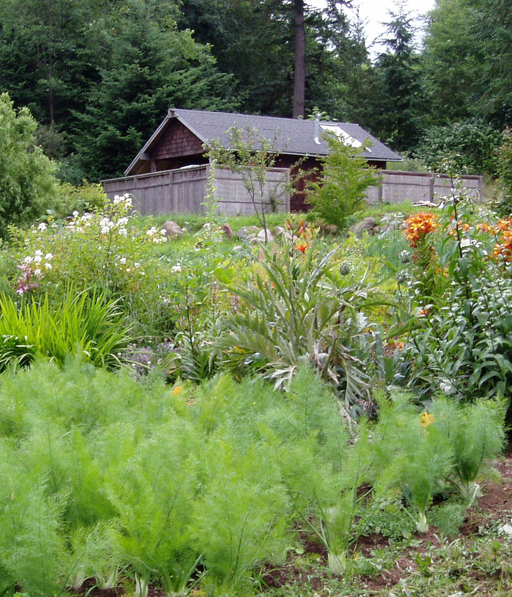 Home-old - Nettles Farm